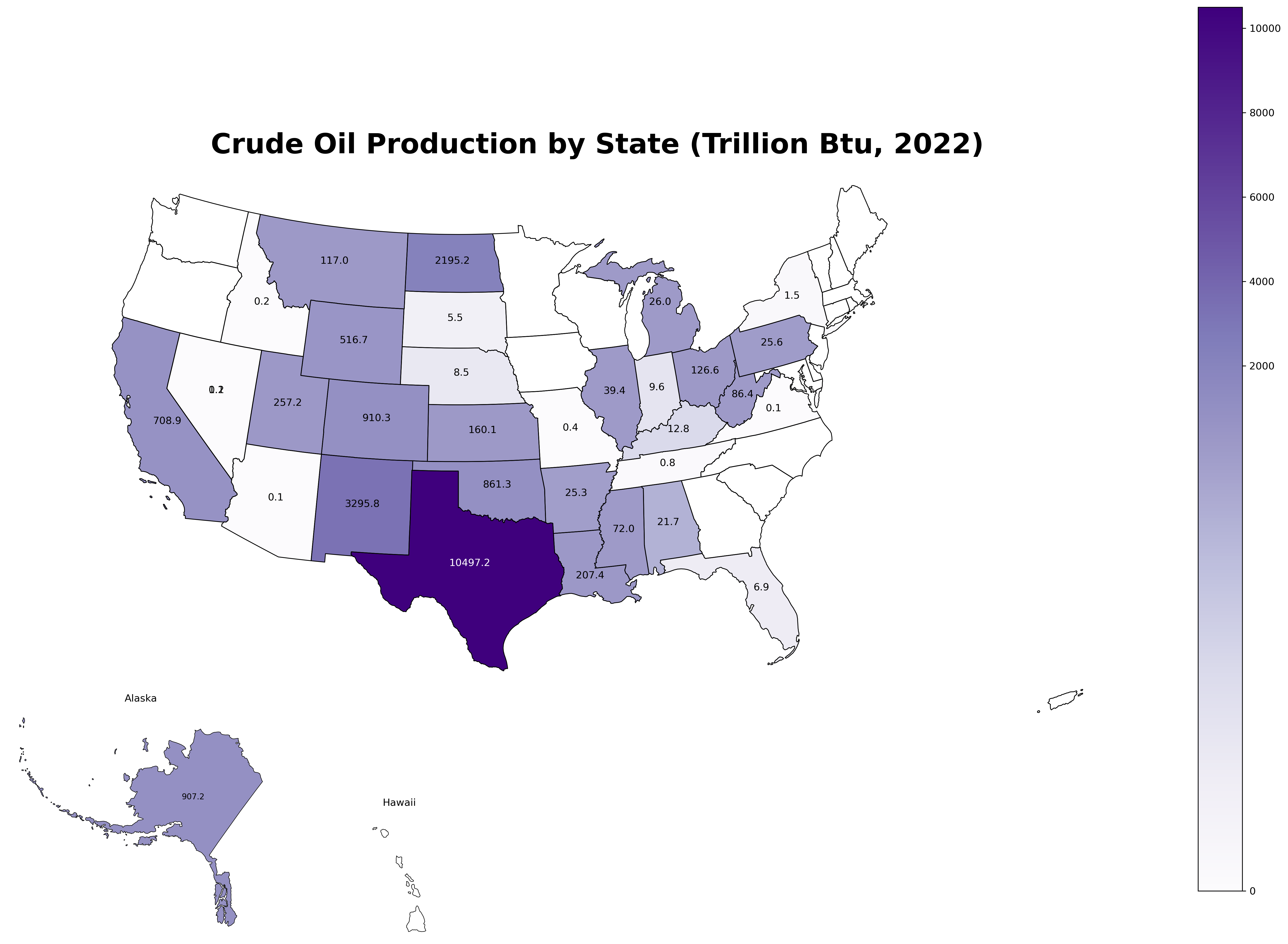 Leila Hammer Projects