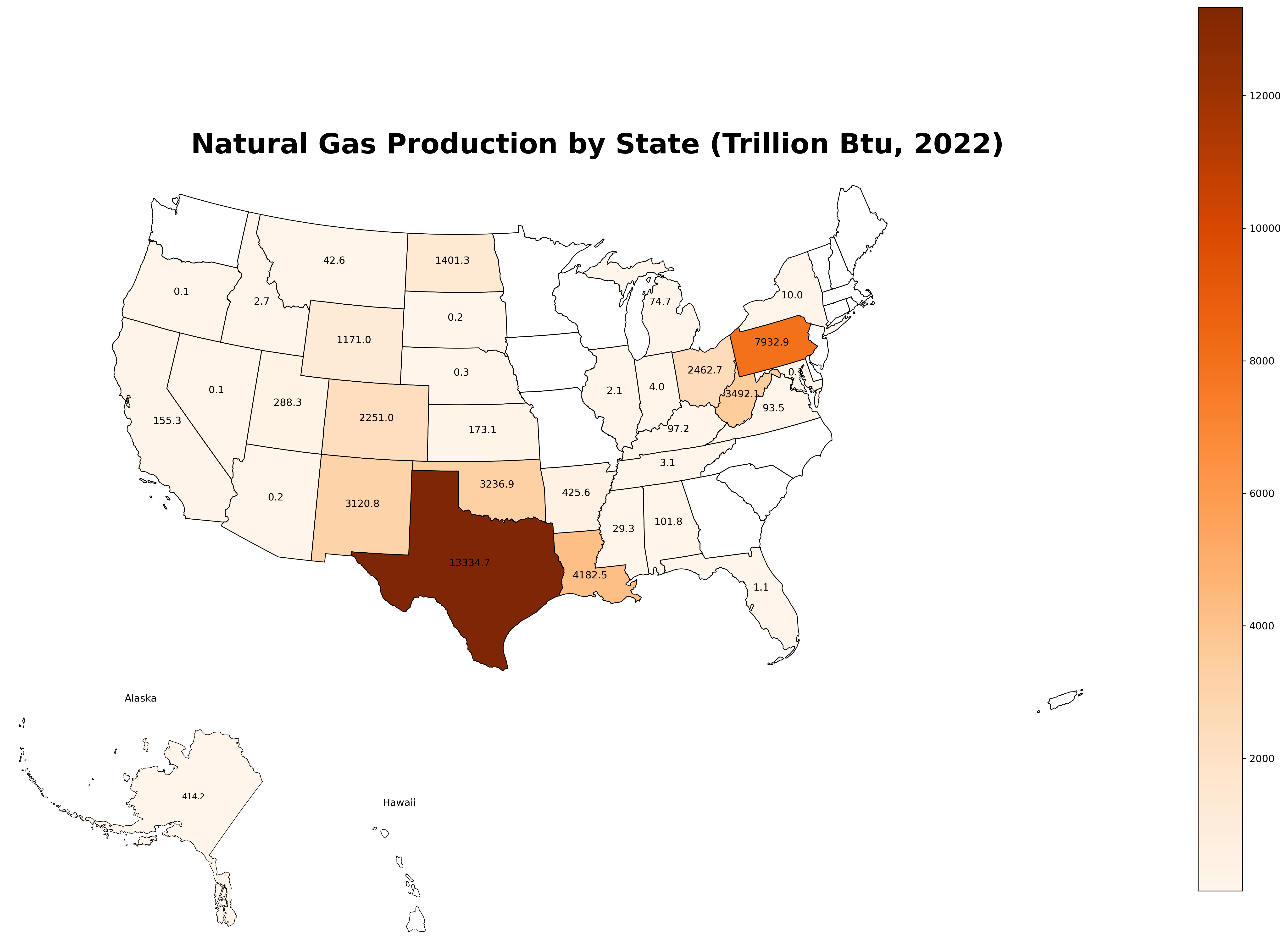 Leila Hammer Projects