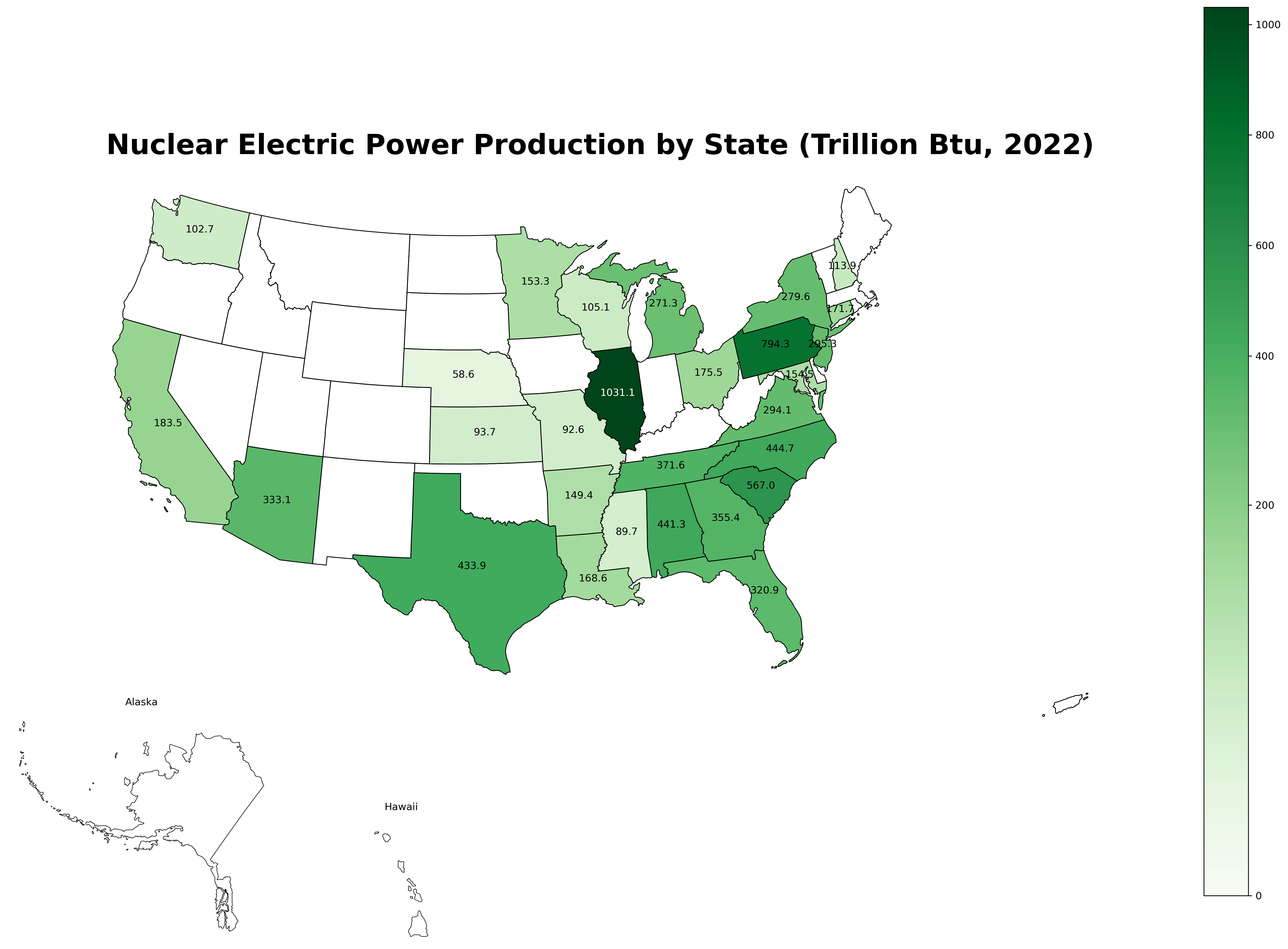 Leila Hammer Projects